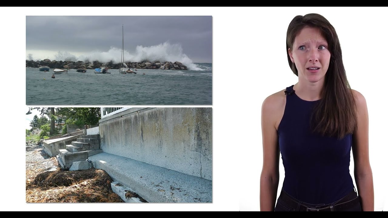 The Role of Coastal Engineering and Coastal Geomorphology in Designing Resilient Coastlines