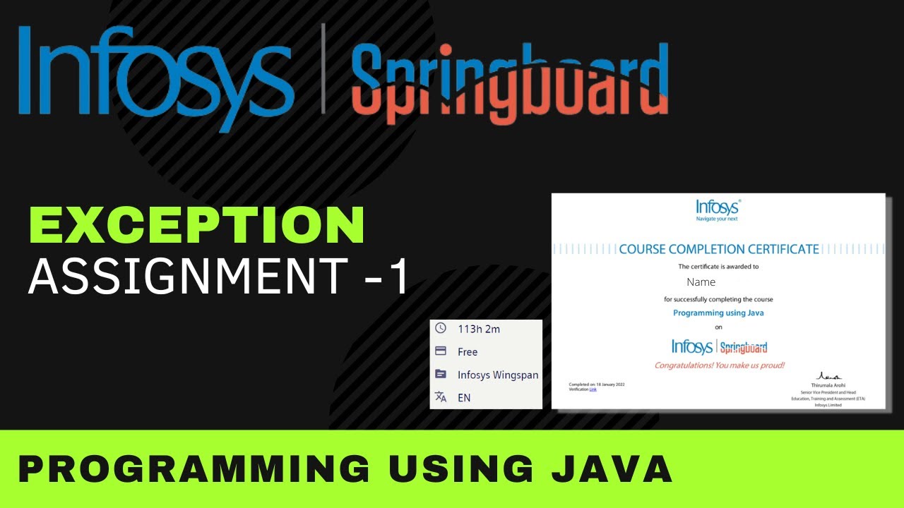 Exception Assignment -1 | Programming Using Java | Infosys Springboard
