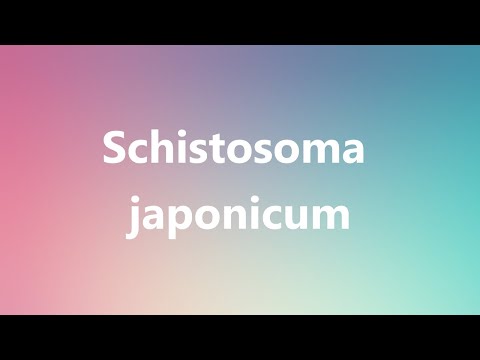 Schistosoma japonicum - Medical Meaning and Pronunciation