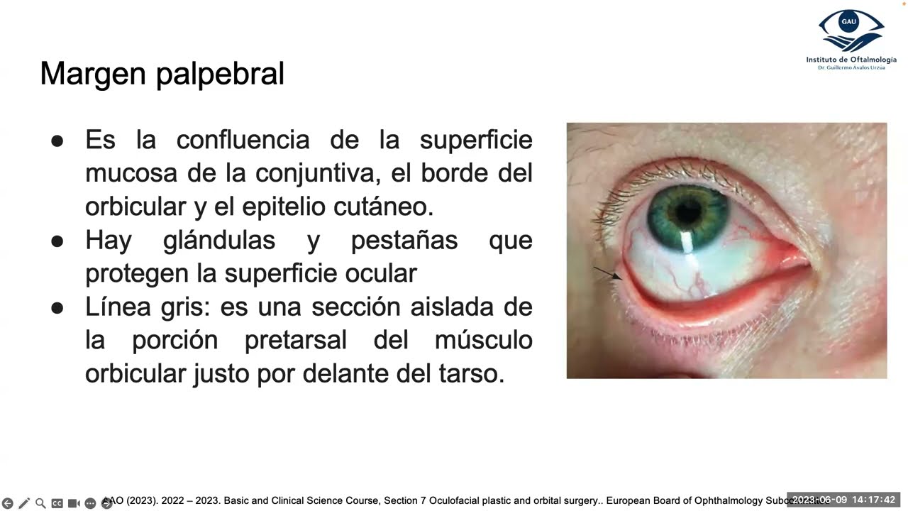 Anatomía de Párpados. 09 Junio 2023.