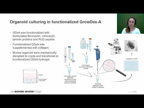 Rosa Karvonen, UPM Biomedicals - Optimization of GrowDex-A for mouse intestinal organoid cultivation