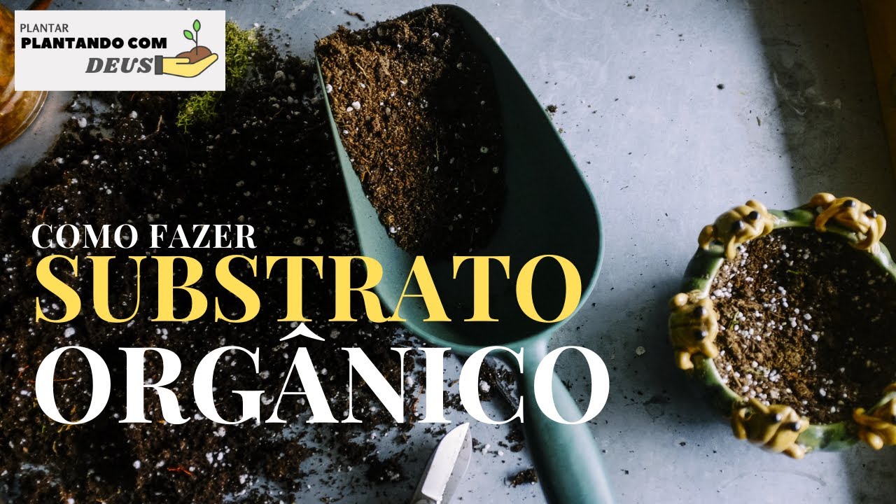 #substrato #adubo #npk #ceasa Melhor SUBSTRATO ORGANICO de todos os tempos - sem esterco