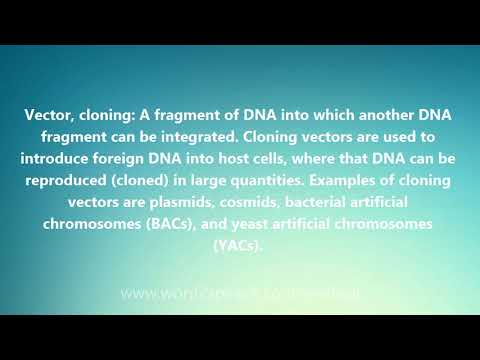 Vector, cloning - Medical Definition and Pronunciation