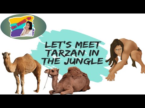 #kaNICETv #LETSmeetTARZAN #InTheJUNGLE Tayo na sa desyerto