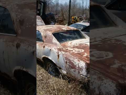 GTO complete, sitting in the junkyard. #autoarchaeology #gto #junkyard