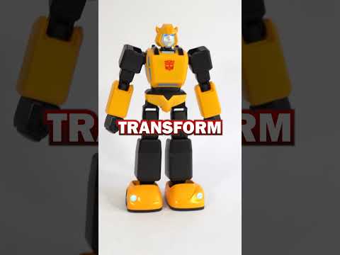 Robosen Bumblebee GOES SPLAT (CHECK OUT THE FULL VIDEO REVIEW!)