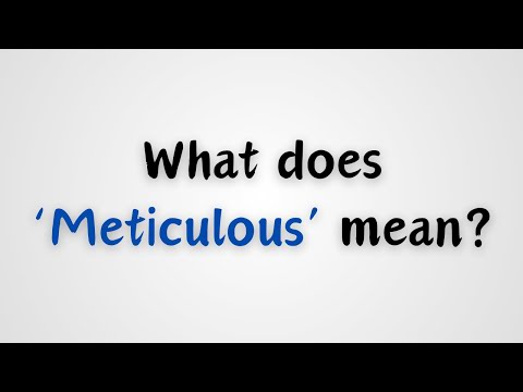 What does 'Meticulous' mean?