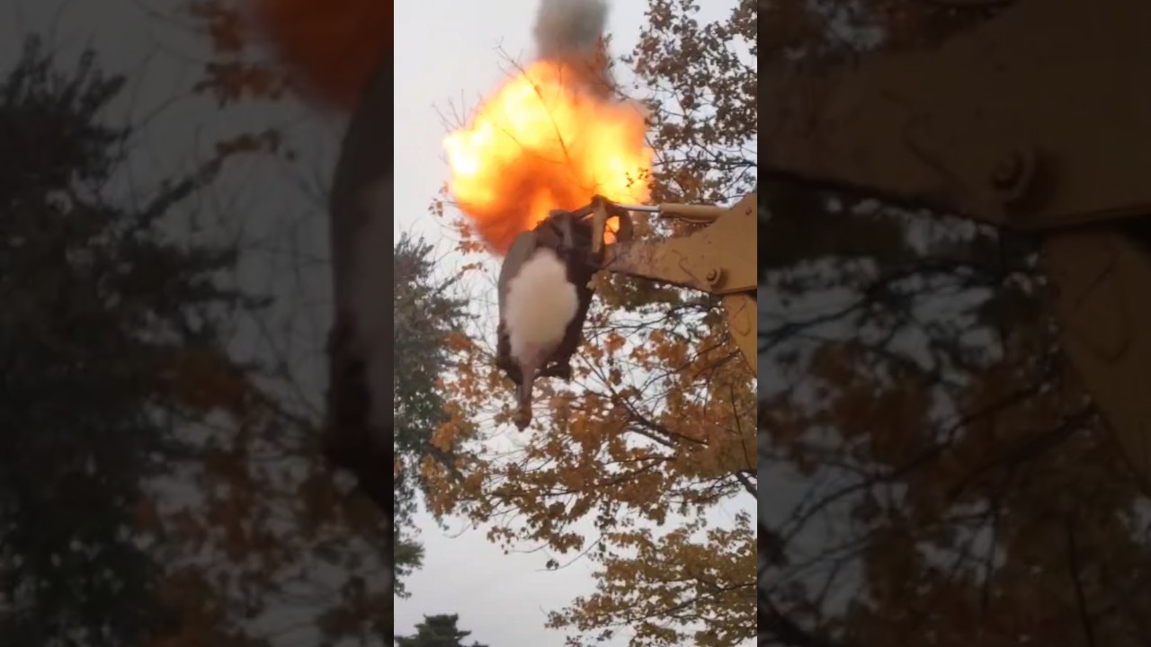 GIANT Bald Faced Hornets Nest  Vs Black Powder Cannon strapped to Backhoe