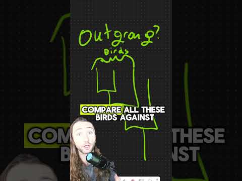 What is an Outgroup?