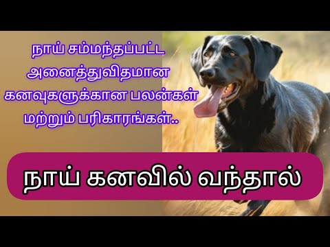 dog dream meaning in tamil | நாய் கனவில் வந்தால் என்ன பலன் | naai kanavil kandal