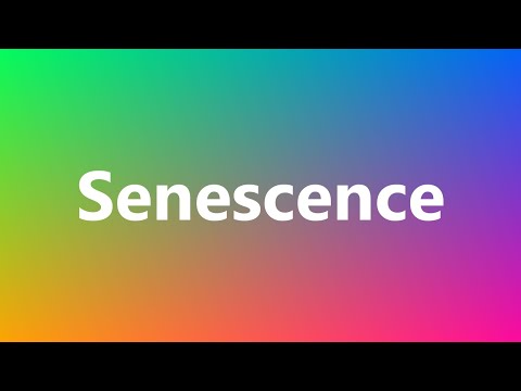 Senescence - Medical Meaning and Pronunciation