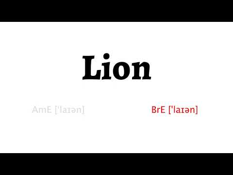 How to Pronounce lion in American English and British English