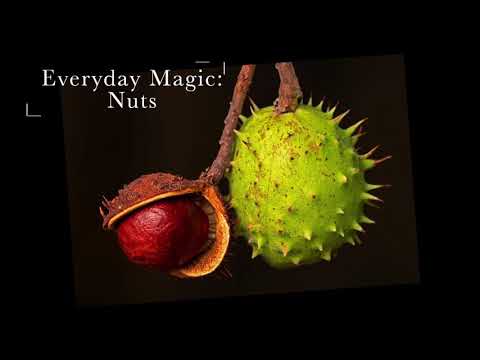 Video: Everyday Magic – Nuts – New World Witchery – The Search for ...