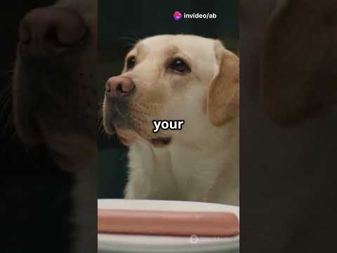 Mind Blowing Facts about Labrador | #Labrador #PetLovers #Animals #DogFacts #LabradorFacts #Facts