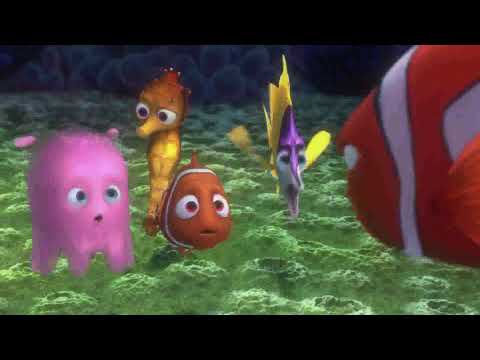 Toons Adventures of Finding Nemo - Field Trip/The Drop Off - Wattpad