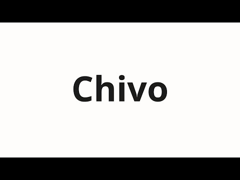 How to pronounce Chivo