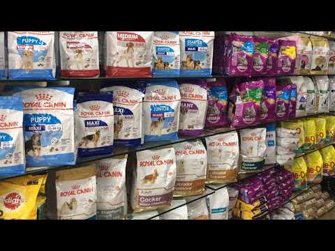 5 Merek Rekomendasi Makanan Kucing Terbaik