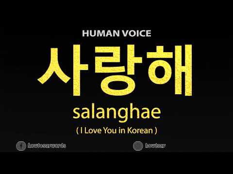 How To Pronounce 사랑해 salanghae - I Love You in Korean