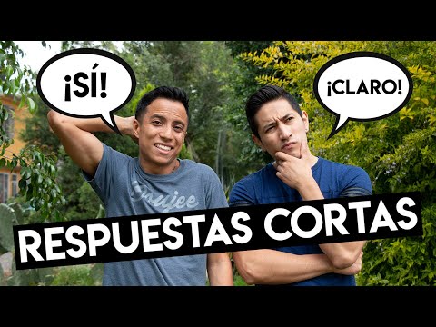 How to say "I do, You do, He Does" in questions? - SHORT ANSWERS (Lesson for Beginners) | Mextalki