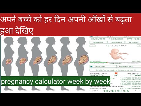 pregnancy calculator week by week |