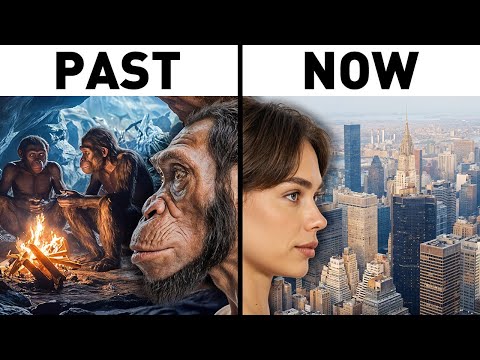Human Evolution In Simple Words According to Science