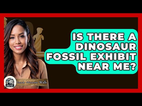Is There A Dinosaur Fossil Exhibit Near Me? - Inside Museum Walls