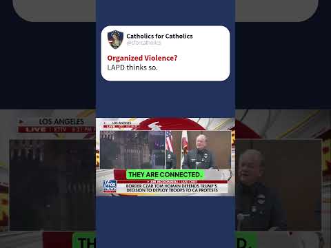 Are these LA riots organized crime? Where are the real 'peaceful protestors?'