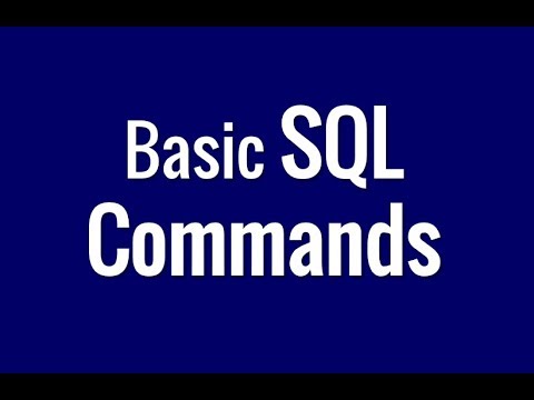 Basic SQL Commands in a Data Base - In 1 minute