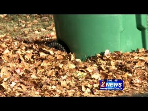 11/18 - 5pm - Leaves Prompt Reno Residents to Use Excess Waste Stickers