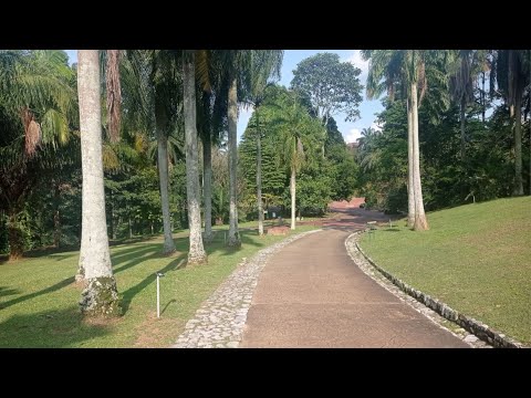 Slideshow: Putrajaya Botanical Garden (Putrajaya, Malaysia)