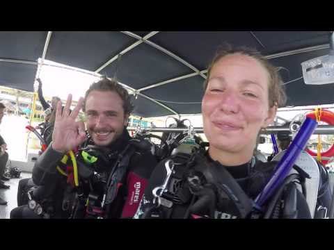 Dressel Divers Internship