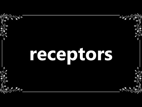 Receptors - Definition and How To Pronounce