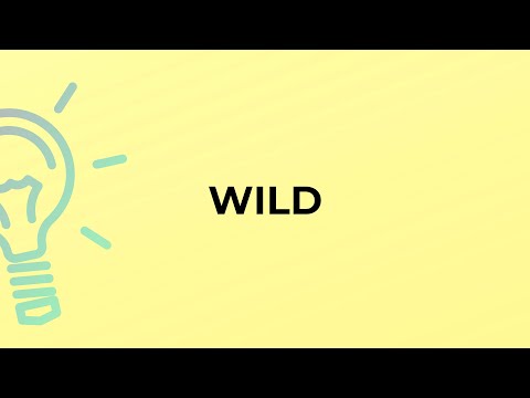 What is the meaning of the word WILD?