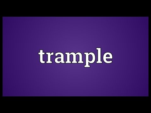 Trample Meaning