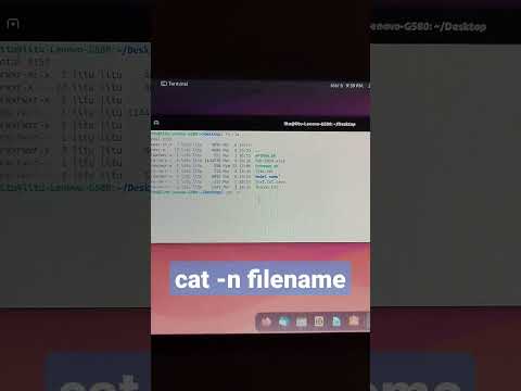 Show line number in cat command