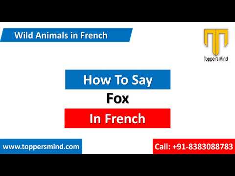 How to say Fox in French | Le renard