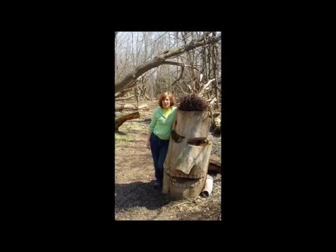 Miller Park in Ann Arbor, Michigan, USA (HD)