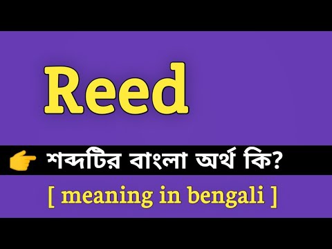 Reed Meaning in Bengali || Reed শব্দের বাংলা অর্থ কি || Bengali Meaning Of Reed