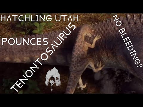 Hatchling Utah Raptor pounces an adult Tenontosaurus