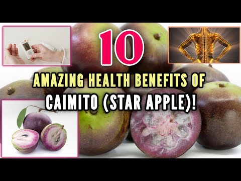 10 Health Benefits of Caimito (Star Apple) You Need to Know!