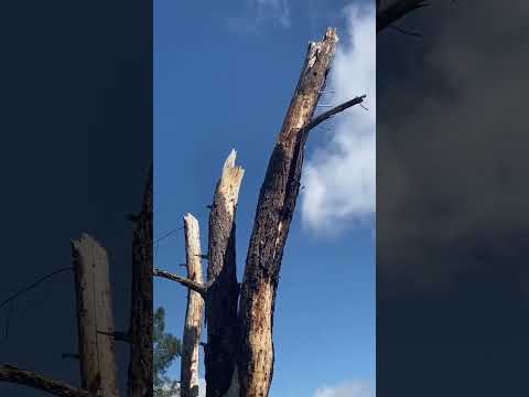 CALIFORNIA HIKING DATE: Lake Nacimiento Shoreline Trail - The Best Weekend Adventure