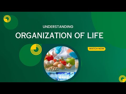 Understanding Organization of Life | How Life is Organized | Level of Organization in Biology