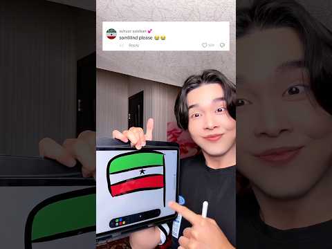 Somaliland flag! Do you know this country?! What’s next?! Korean Muslim