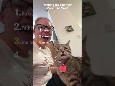 Ranking the Funniest Cats of All Time! 😹👑