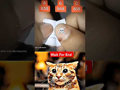 Guess The Number ???? #cat #memes #popular #meme #trending #duet #respect #funny #viralshort #latest
