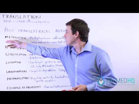 Post-Translational Modification of Proteins