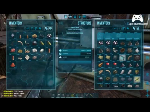Reese Williamson Live Stream