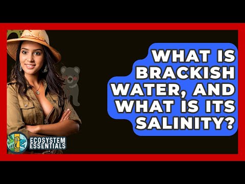 What Is Brackish Water, And What Is Its Salinity? - Ecosystem Essentials