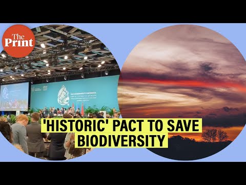 All you need to know about the Global Biodiversity Framework