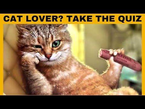 Furry Feline Quiz: Test Your Cat Knowledge